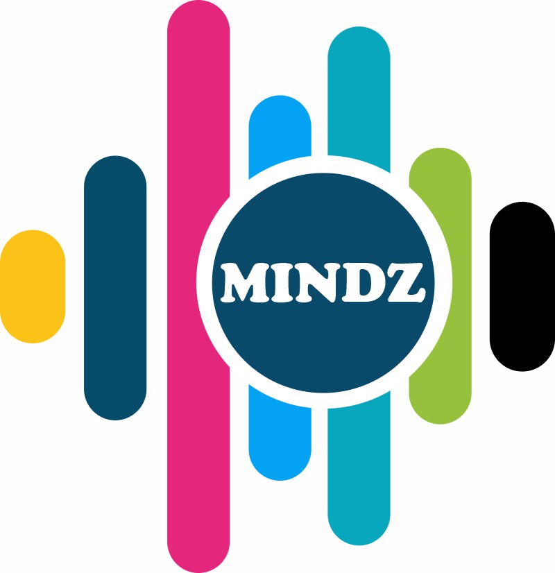 After-Sales Support & Maintenance - Mindz Studioz